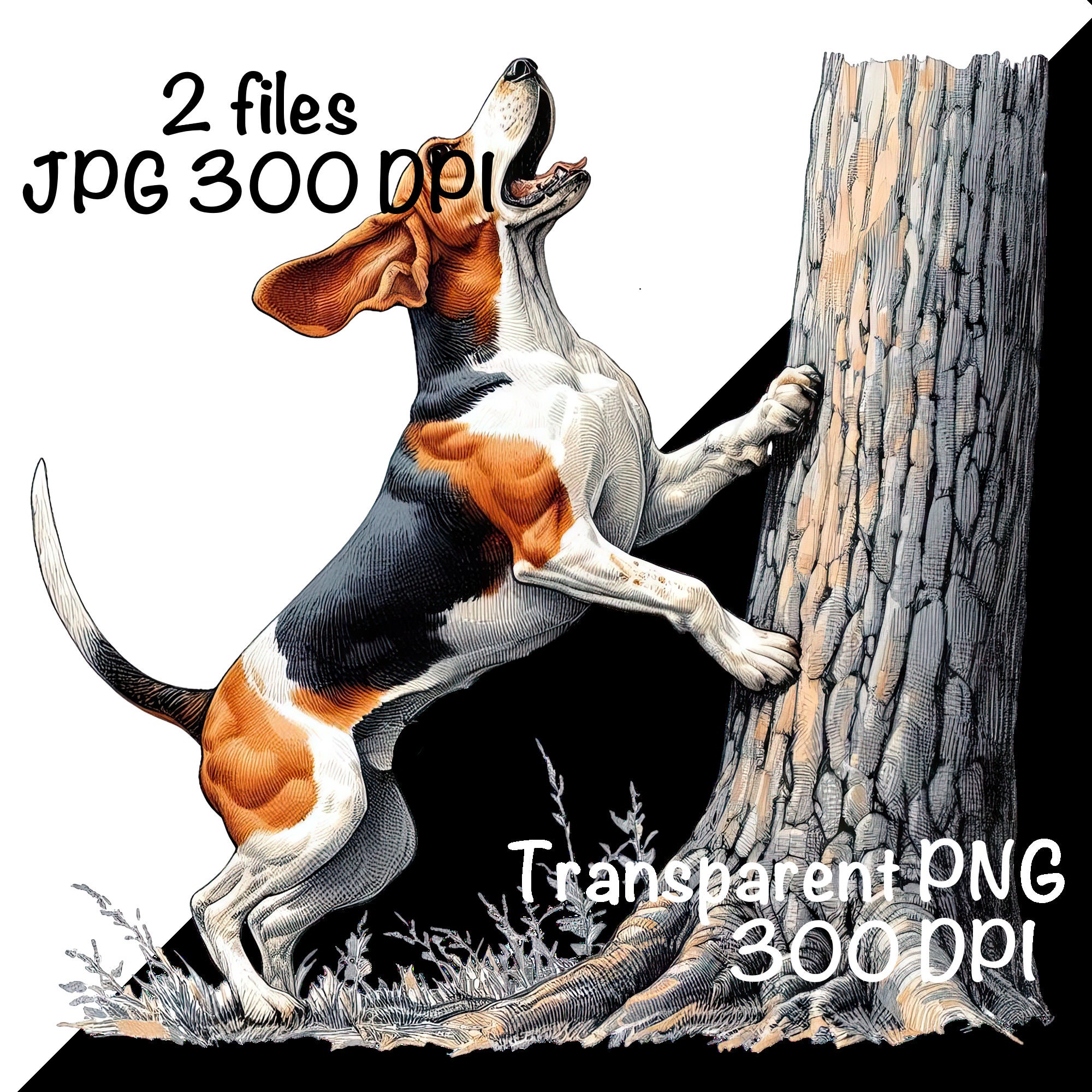 Treeing Walker Coonhound Sublimation PNG | Hunting Dog Sublimation ...