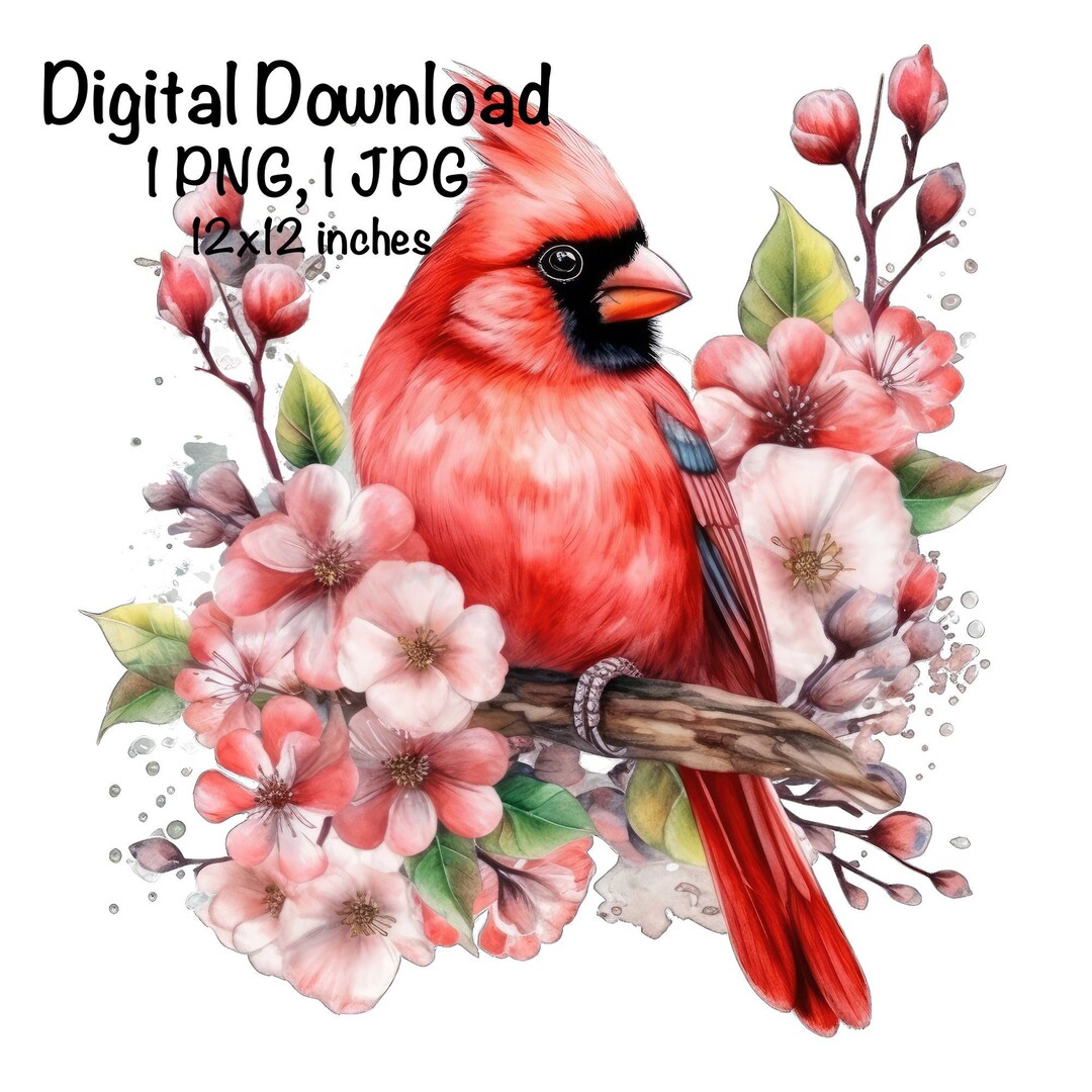 Red Cardinal PNG Watercolor Clipart Red Cardinal Exotic Flowers ...