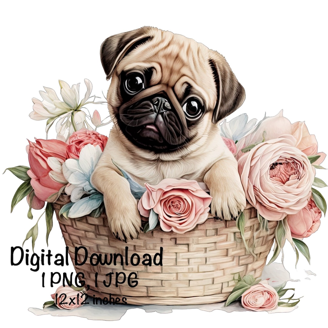 Pug Watercolor Clipart Cute Puppy Pug in a Basket Baby Pug Dog PNG ...