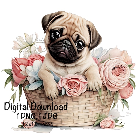 Cute Pug Puppies In Flowers