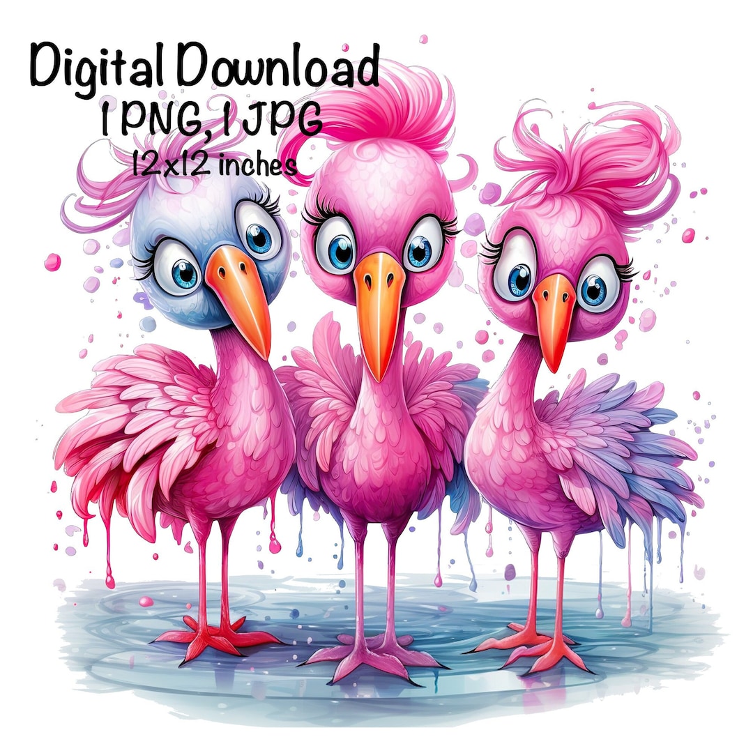 Funny Flamingo PNG, Cute Flamingo PNG Sublimation, Three Crazy ...
