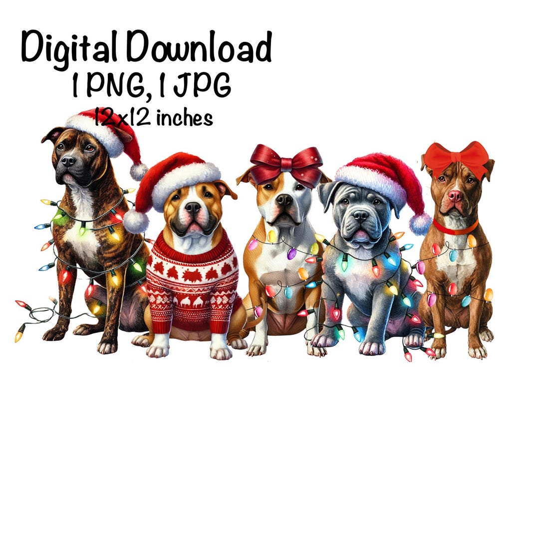 Christmas Pitbulls Dogs Sublimation | Santa Pitbulls PNG | Holiday ...
