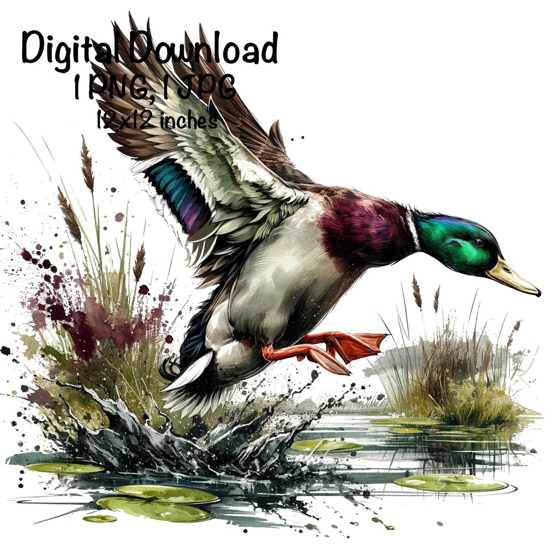 Mallard Duck PNG Wild Duck Sublimation PNG Mallard Duck Sublimation ...