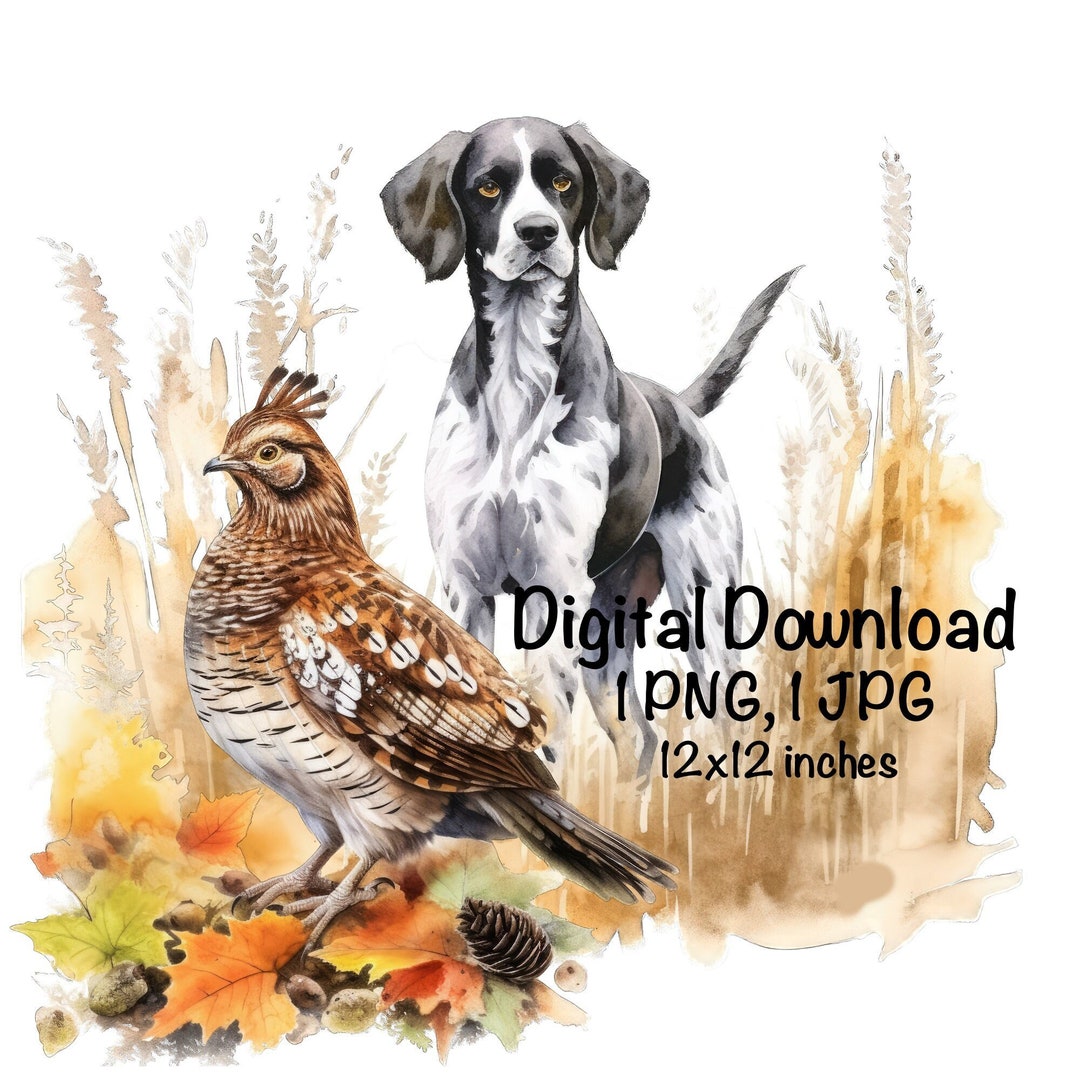 German Shorthaired Pointer Dog Watercolor Clipart Grouse Bird PNG ...