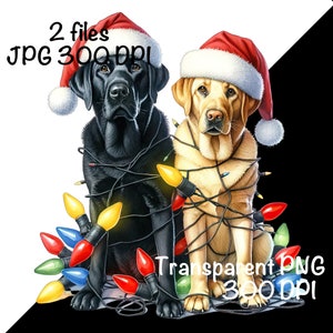 Christmas Labradors PNG Christmas Lights Santa Labrador Dogs ...
