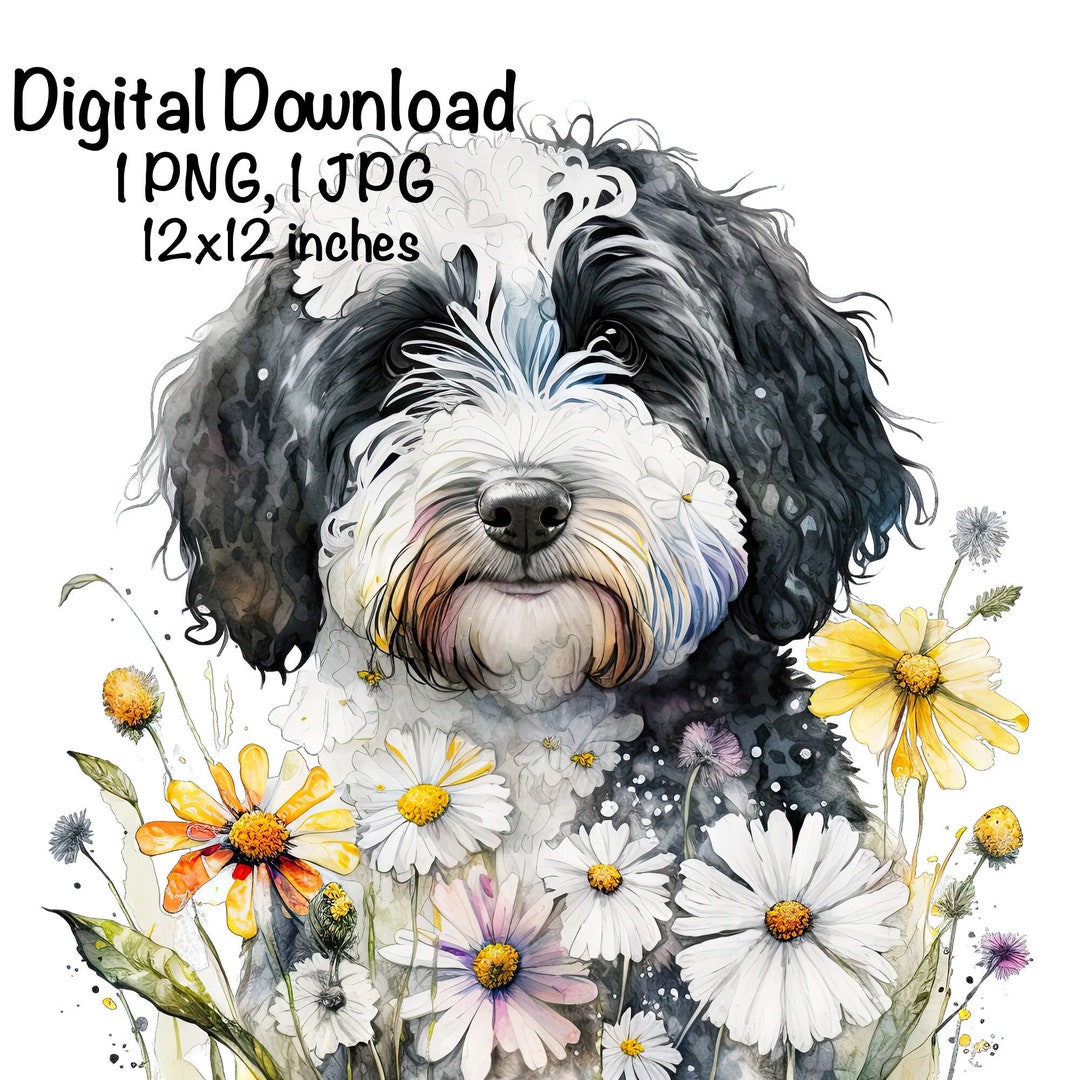 Sheepadoodle Dog Watercolor Clipart Doodle Dog Spring Daisy Flowers PNG ...