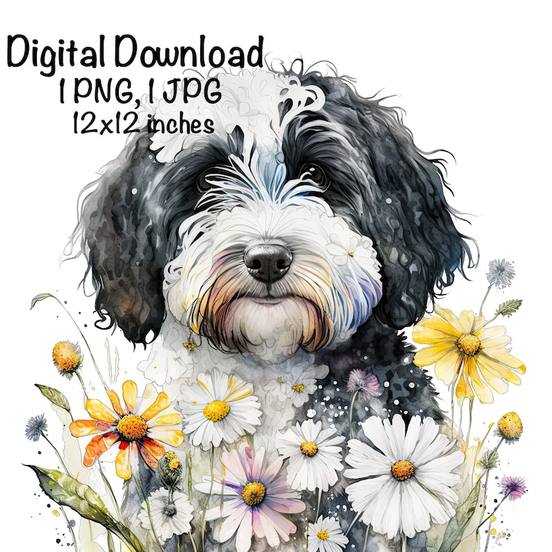 Sheepadoodle Dog Watercolor Clipart Doodle Dog Spring Daisy - Etsy