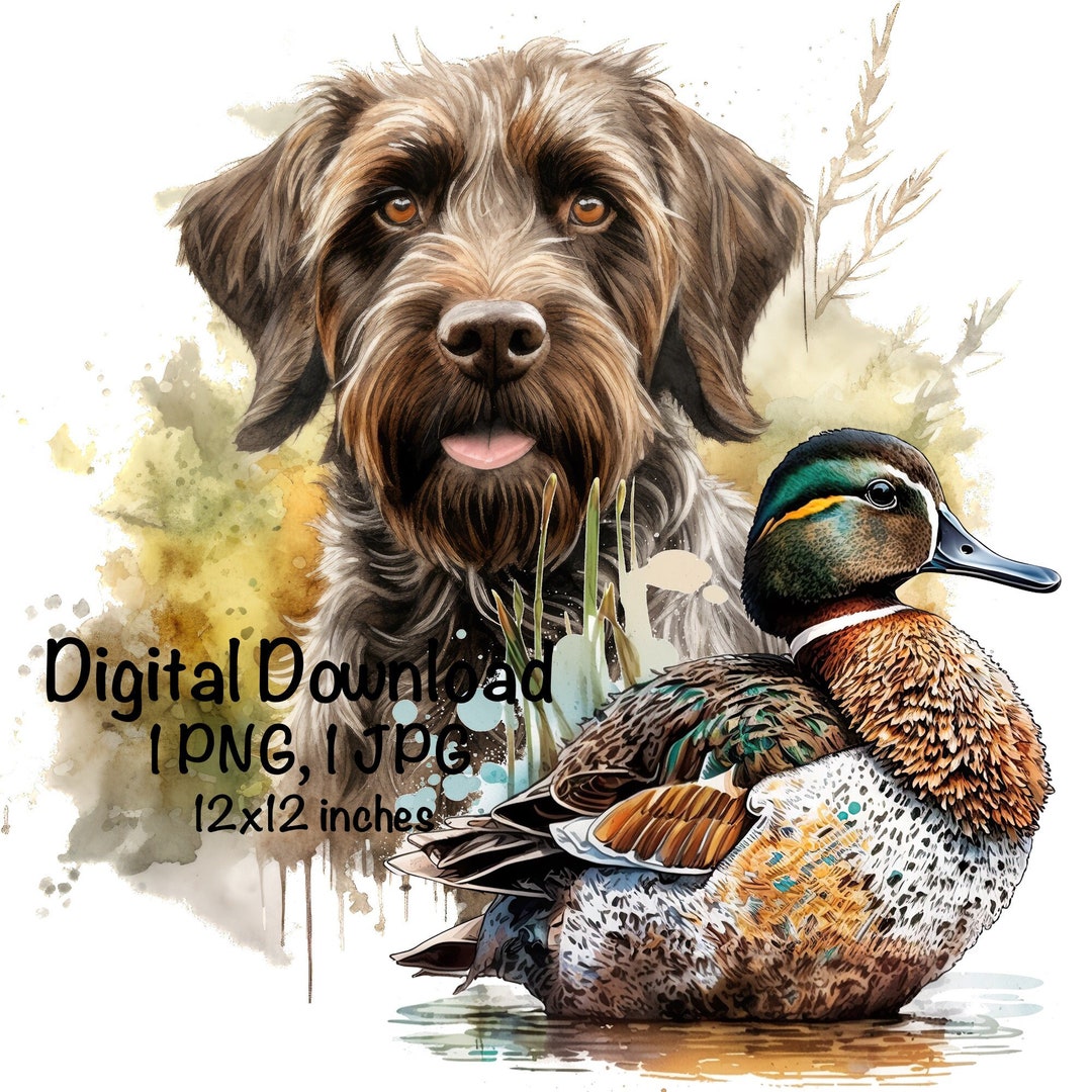 Duck Hunting PNG, Hunting Dog and Duck, Digital Download, Duck Hunting ...