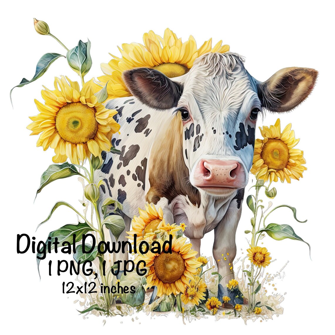 Dairy Milk Cow Watercolor Clipart Highland Cow Sunflowers Flowers PNG ...