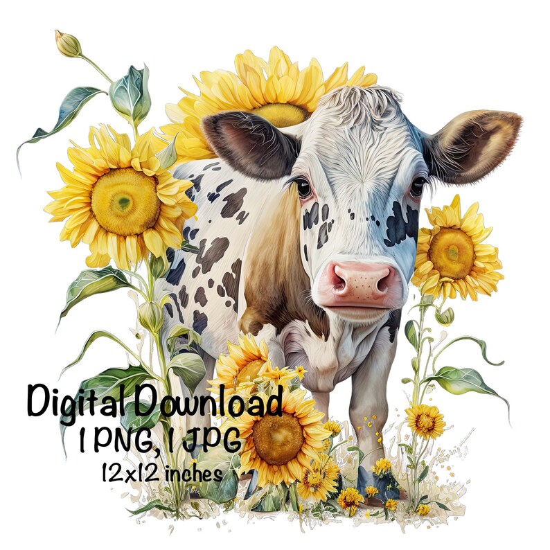 Dairy Milk Cow Watercolor Clipart Highland Cow Sunflowers Flowers PNG ...