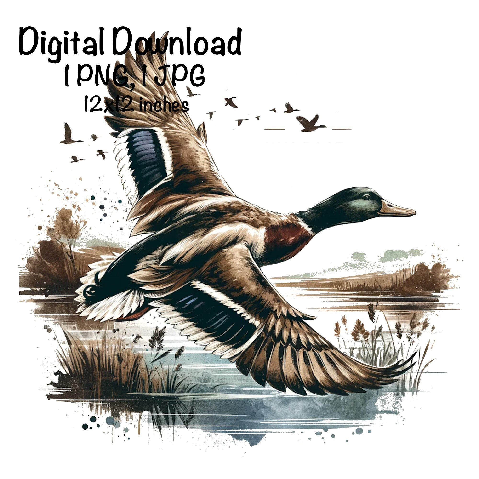 Waterfowl Landing Drawing