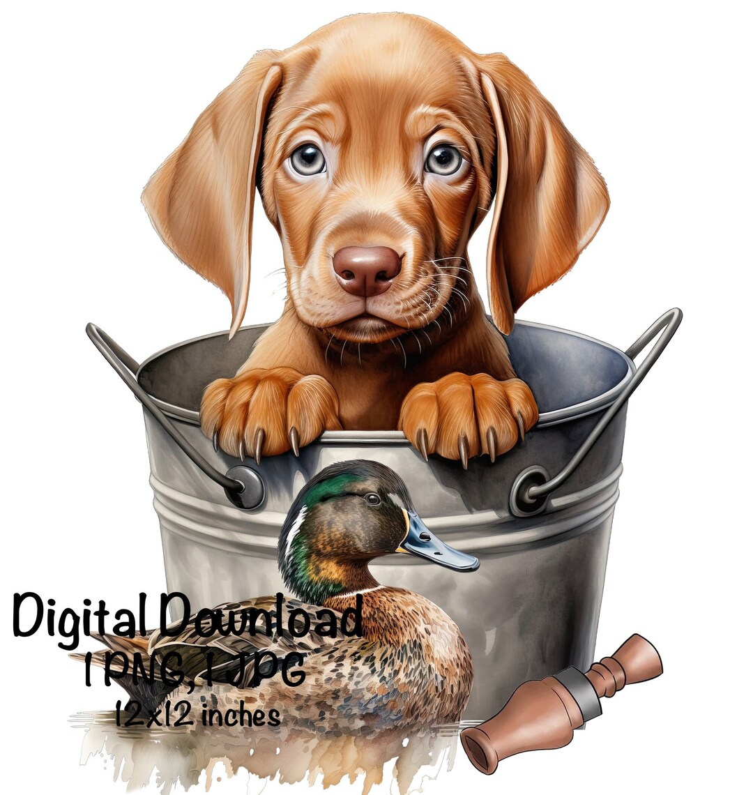 Vizsla Puppy Watercolor Clipart Cute Vizsla Dog in a Bucket Baby Vizsla PNG Commercial Use ...