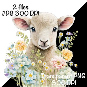 Cute Baby Lamb Watercolor Clipart Lamb Spring Daisy Flowers PNG ...