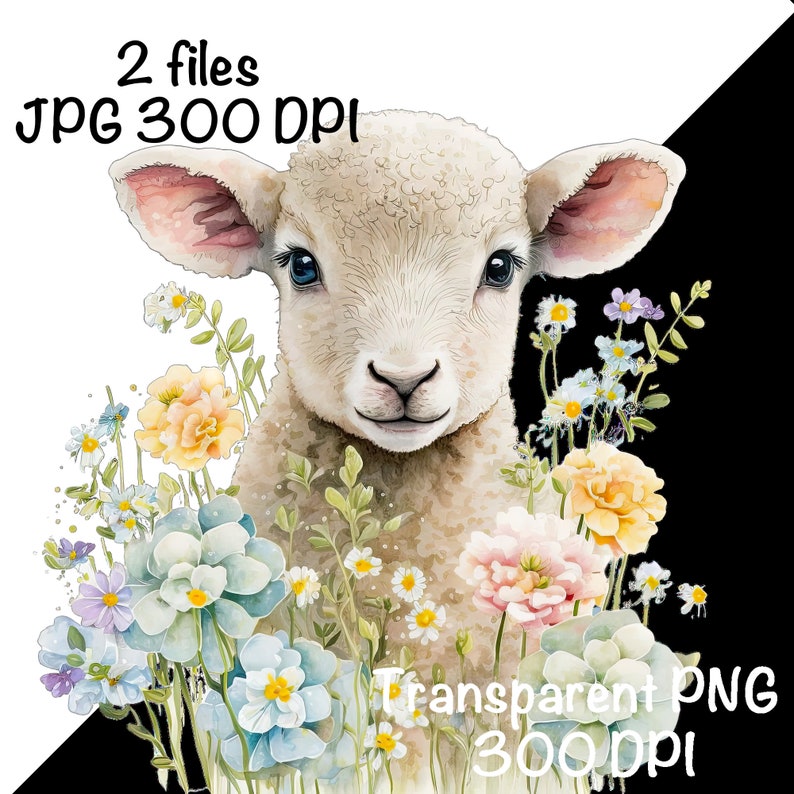 Cute Baby Lamb Watercolor Clipart Lamb Spring Daisy Flowers - Etsy