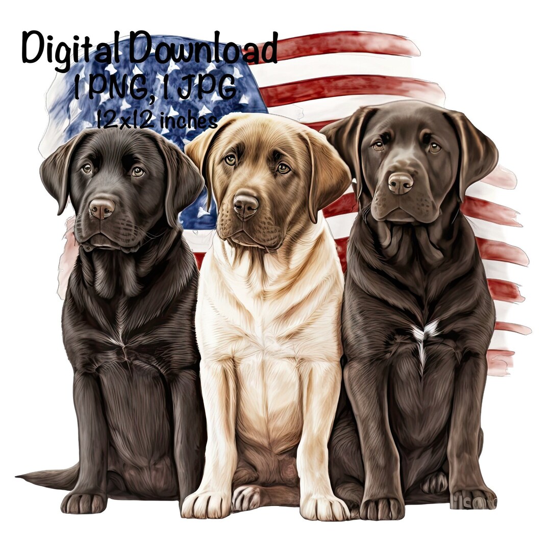 Labrador Dogs Watercolor Clipart Patriotic US Flag Labrador PNG ...
