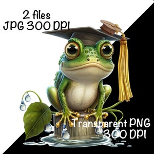 Cute Frog Graduation Clipart Woods Forest Animals Frog PNG Frog ...