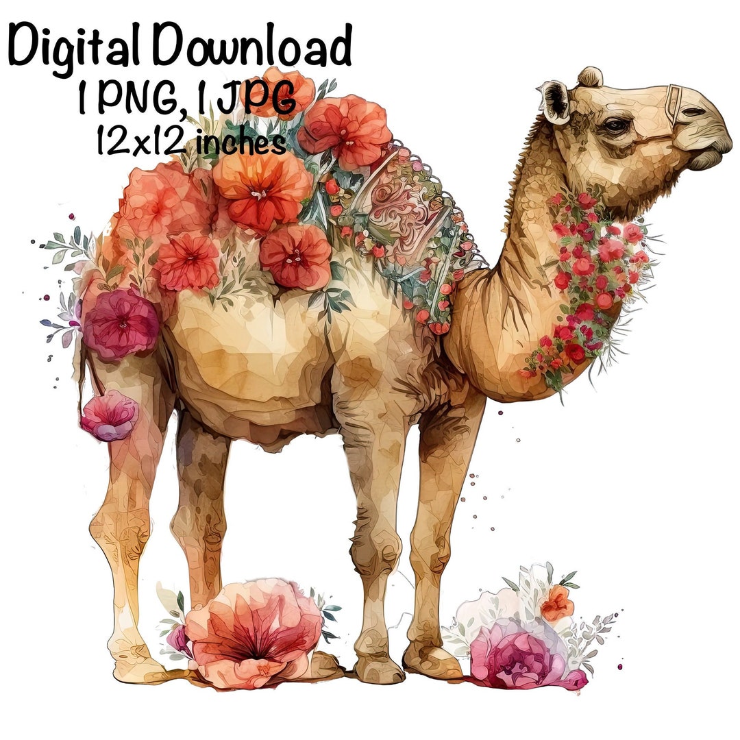 Camel Watercolor Clipart Camel Spring Flowers PNG Commercial Use Desert ...