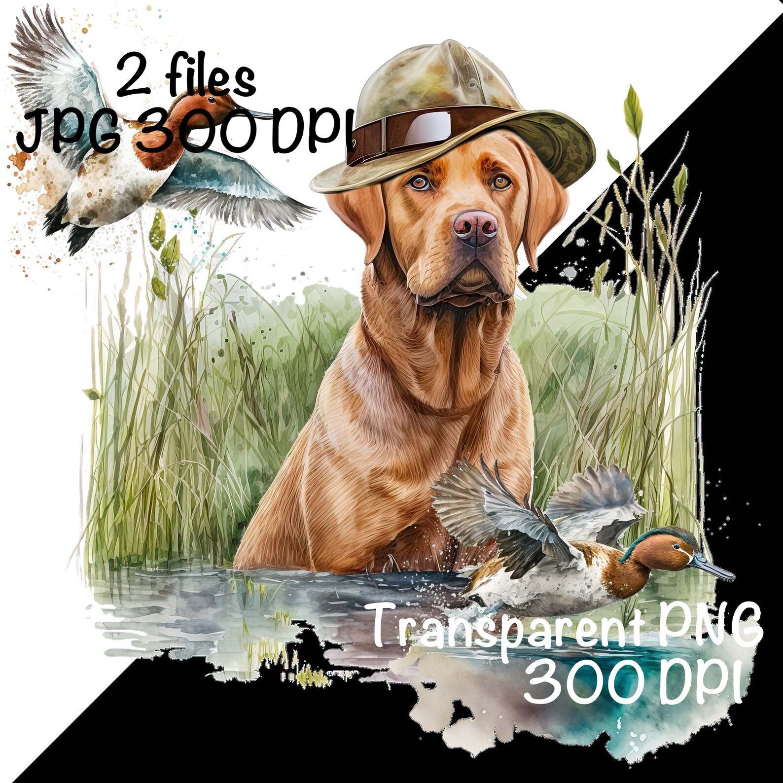 Duck Hunting Dog Watercolor Clipart British Red Labrador Cute - Etsy
