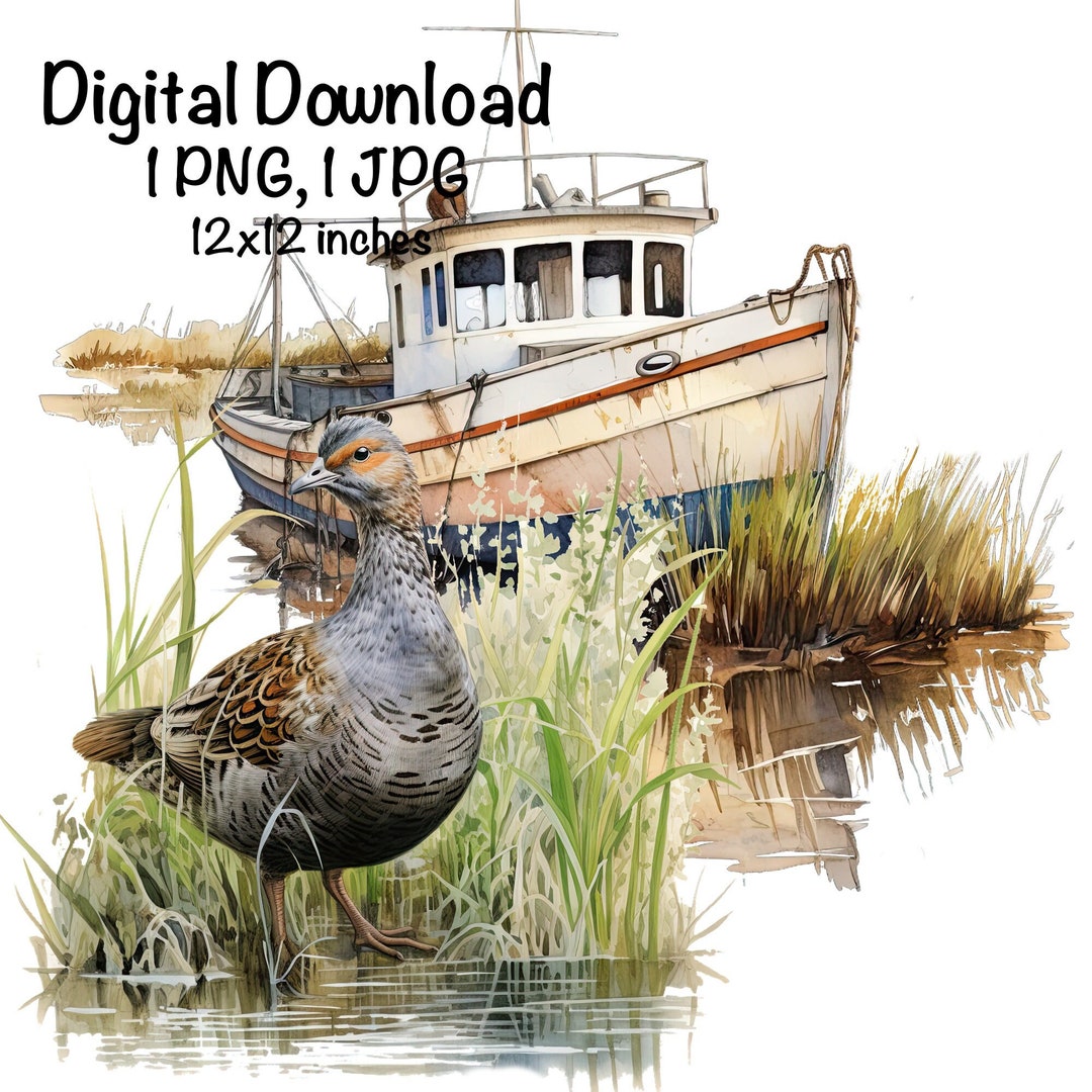 Marsh Fishing Boat PNG Marsh Hen PNG Fishing Sublimation - Etsy