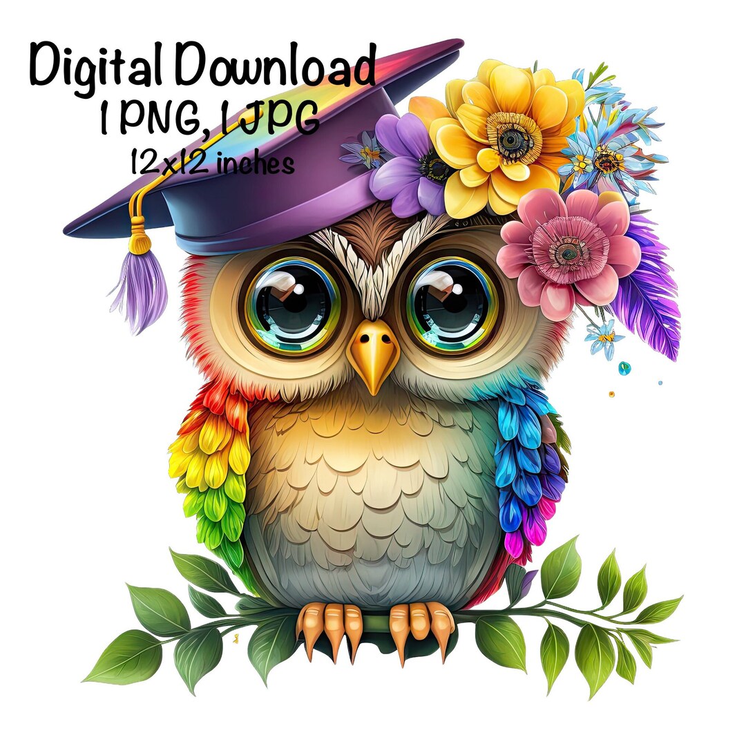 Graduation Owl Clipart Grad Student Owl PNG College Graduation ...
