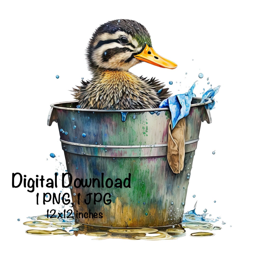 Cute Mallard Duck Watercolor Clipart Cute Duck in a Bucket Baby ...