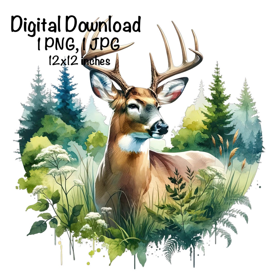 Deer Watercolor Clipart, Whitetail Deer PNG, Commercial Use Deer ...
