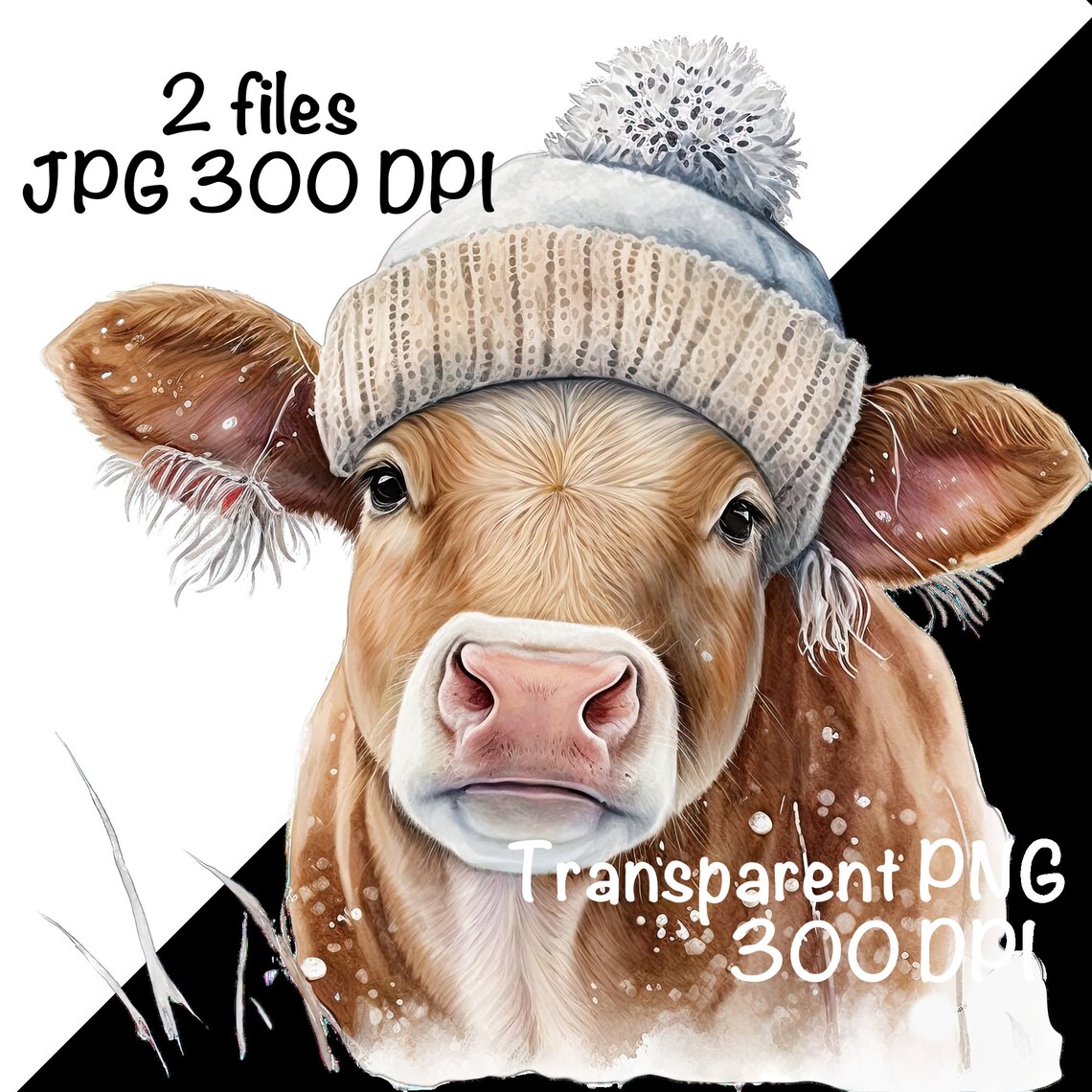 Winter Cow Watercolor Clipart Dairy Cow & Wool Cap PNG Commercial Use ...