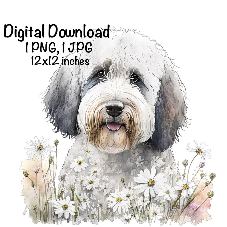 Sheepadoodle Dog Watercolor Clipart Doodle Dog Spring Daisy - Etsy
