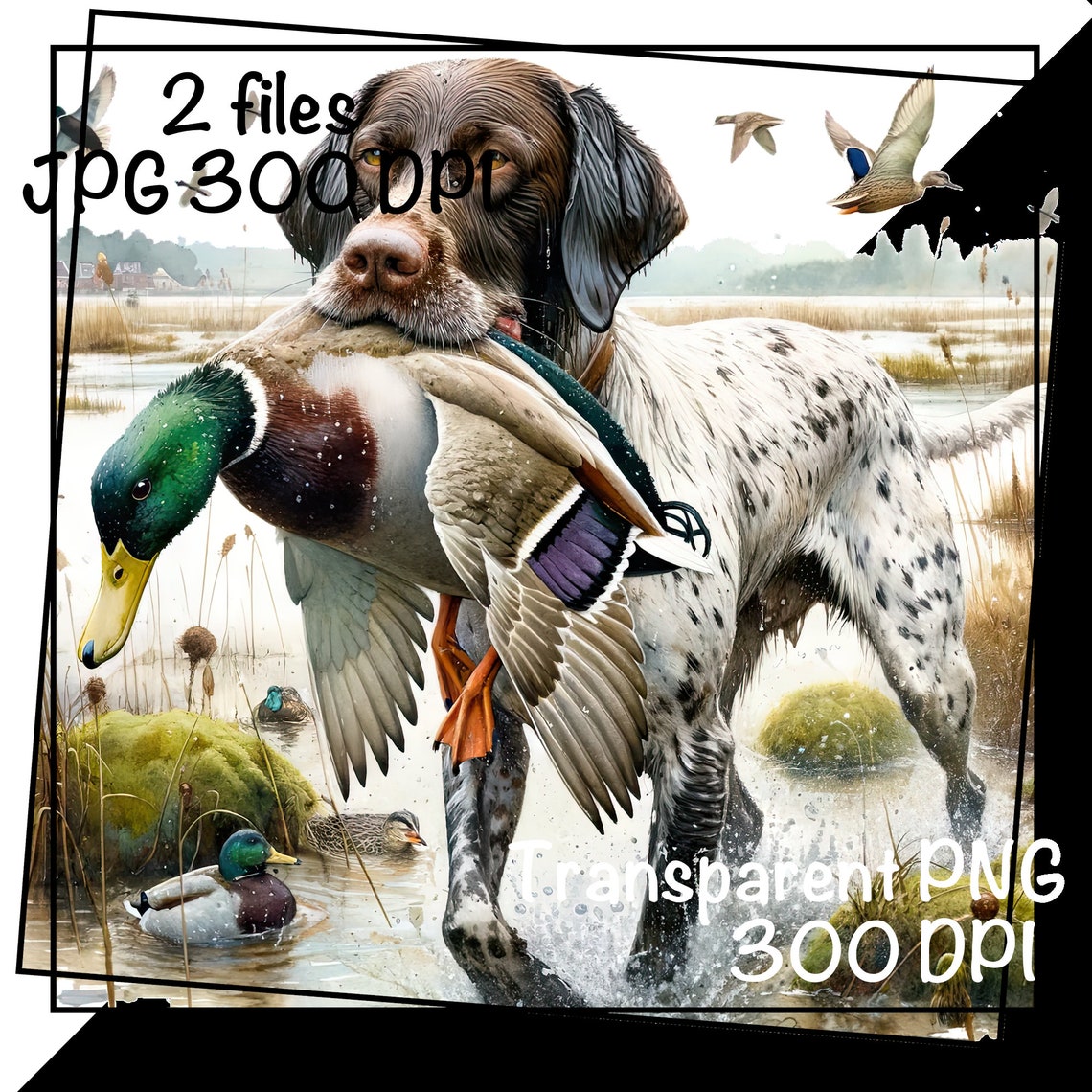 Pointer Dog PNG Duck Hunting Shorthaired Pointer Dog PNG Download ...