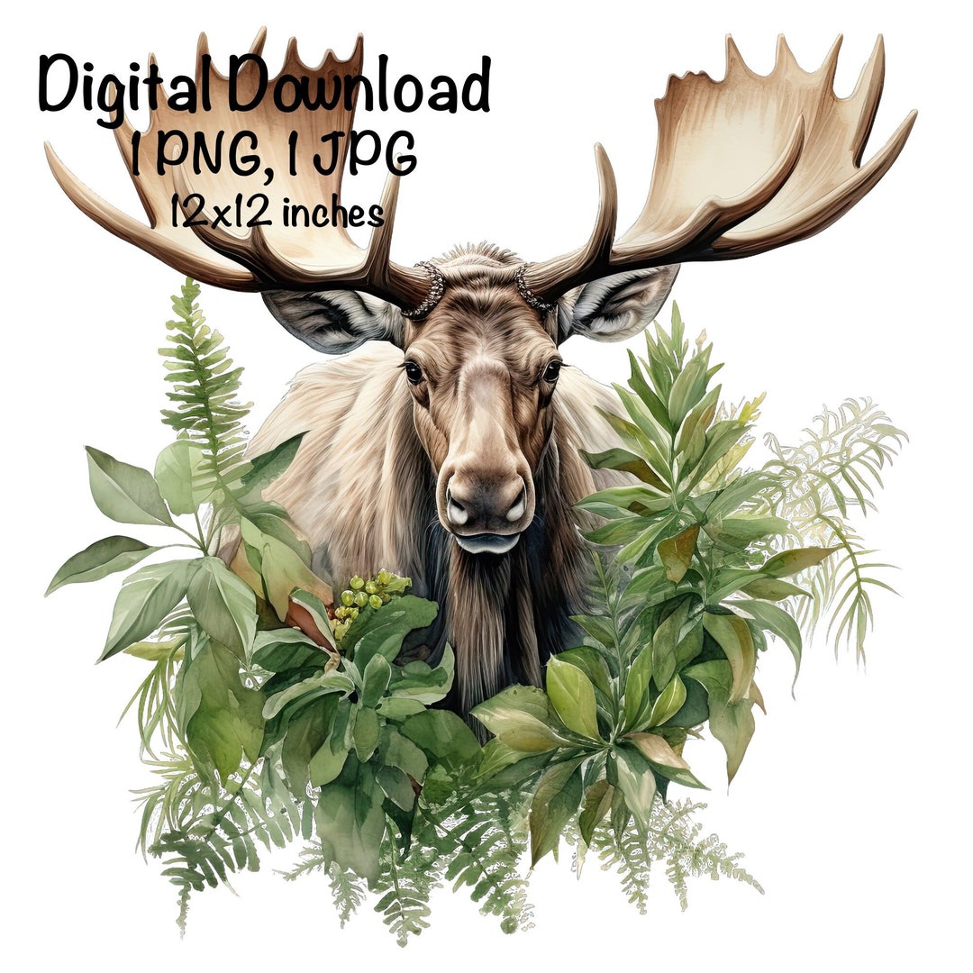 Moose PNG Moose Greenery Flowers PNG Commercial Use Moose Graphic Elk ...