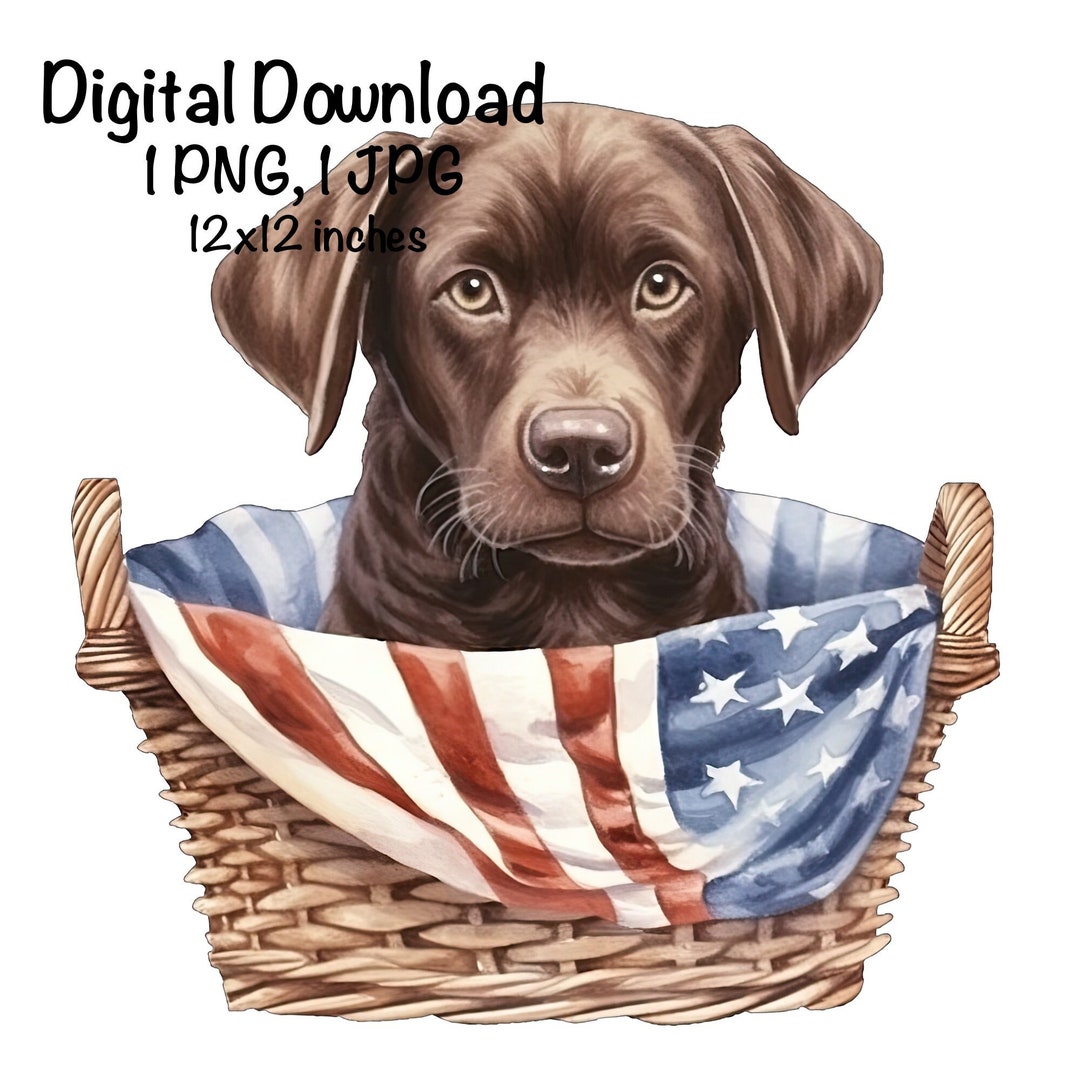Hunting Dog PNG Watercolor Clipart July 4th Labrador in a Basket ...
