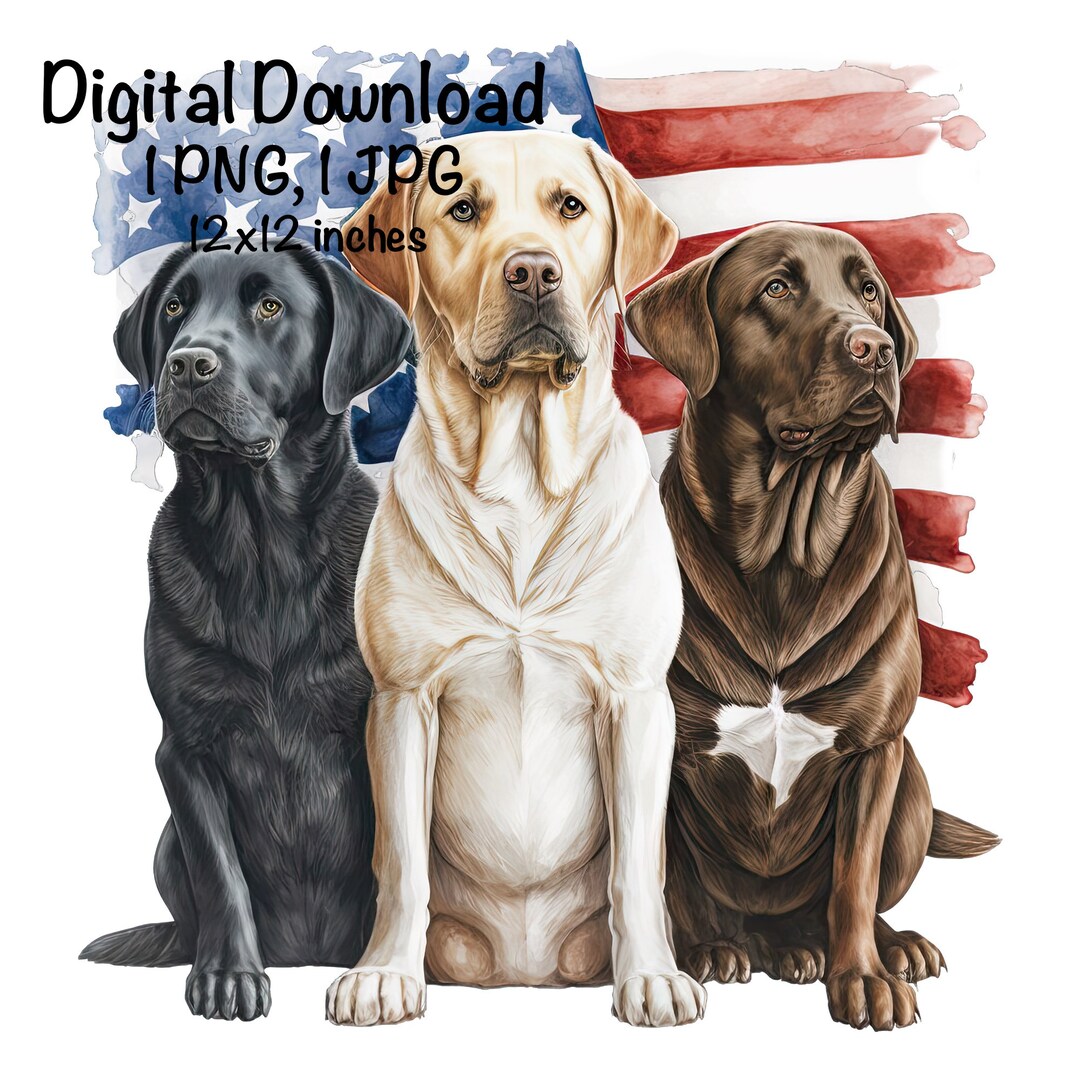 Labrador Dogs Watercolor Clipart Patriotic US Flag Labrador PNG ...