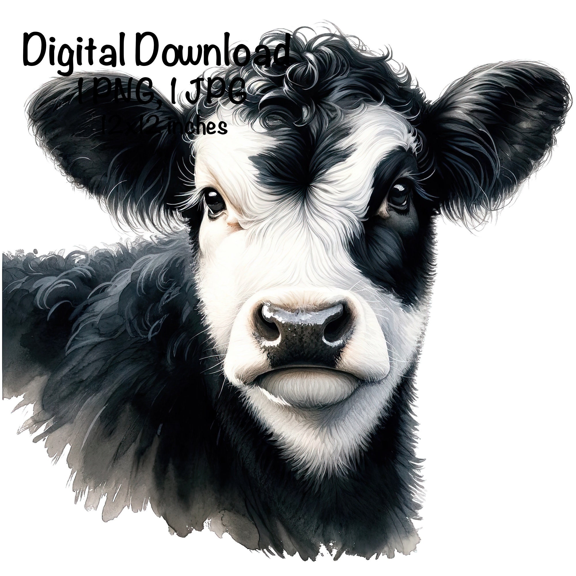 Black Baldy Cow Sublimation Farm Farmer Cow Black & White Cow PNG Farm ...