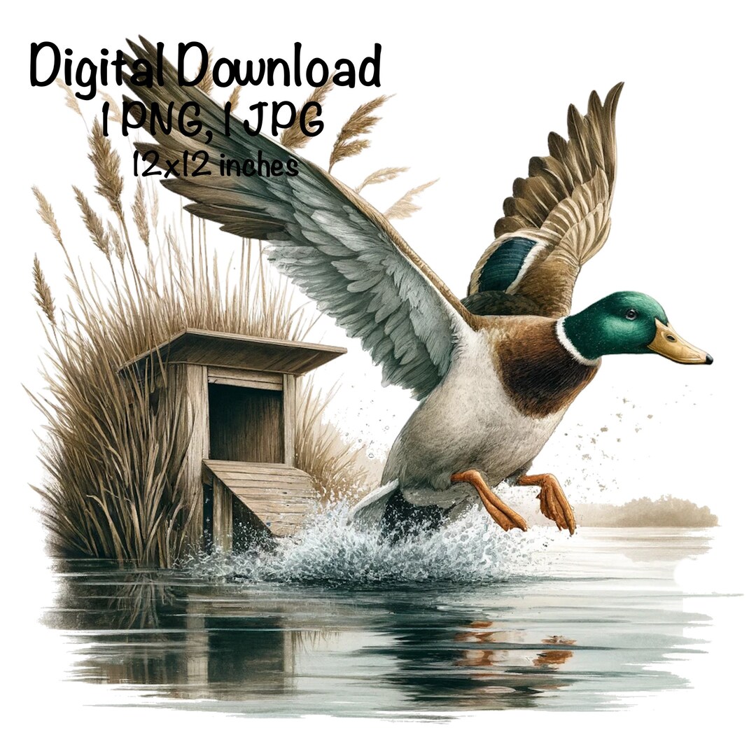 Mallard Duck PNG Wild Duck Sublimation PNG Mallard Duck Sublimation ...
