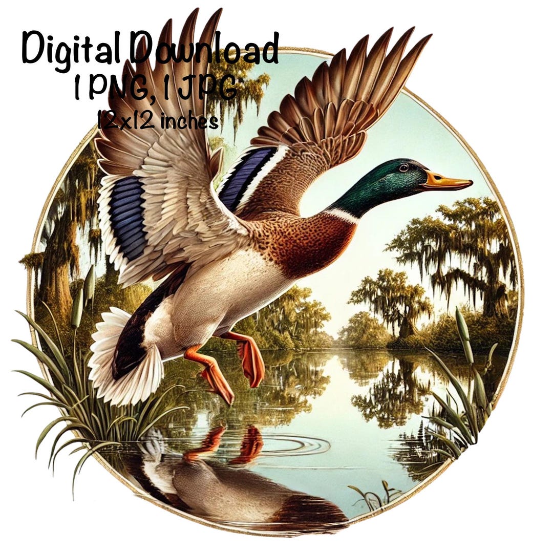 Mallard Duck PNG, Wild Duck Sublimation PNG, Mallard Duck Sublimation ...