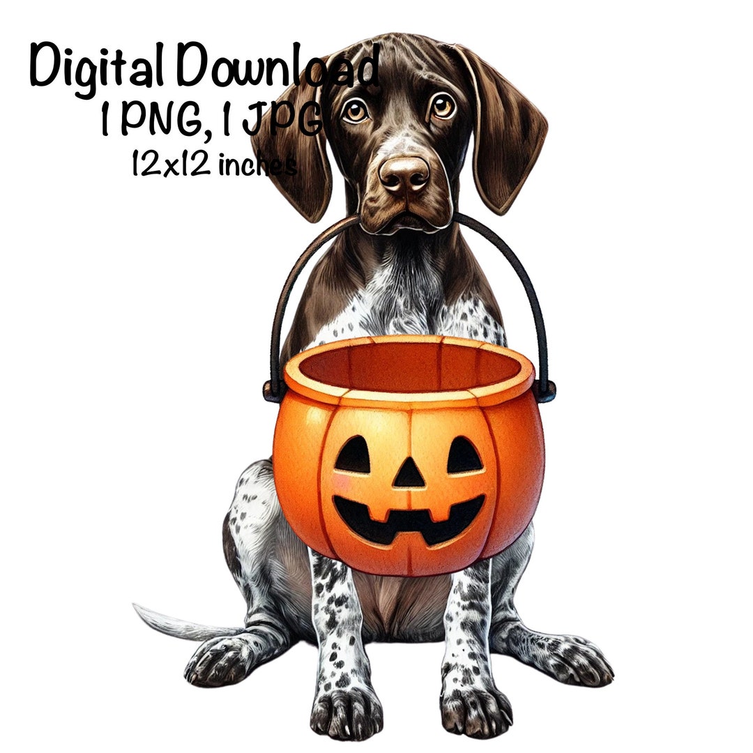Halloween Pointer Dog Pumpkin Candy Bucket PNG | Haunting Season PNG ...