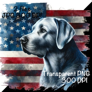 Silver Lab Flag PNG | Patriotic USA Labrador Flag Sublimation ...