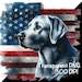 Silver Lab Flag PNG | Patriotic USA Labrador Flag Sublimation ...