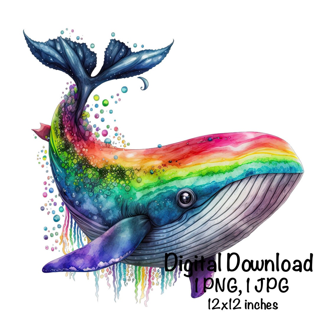 Rainbow Whale PNG, Killer Whale Sublimation Ocean Animals Sea Animals ...