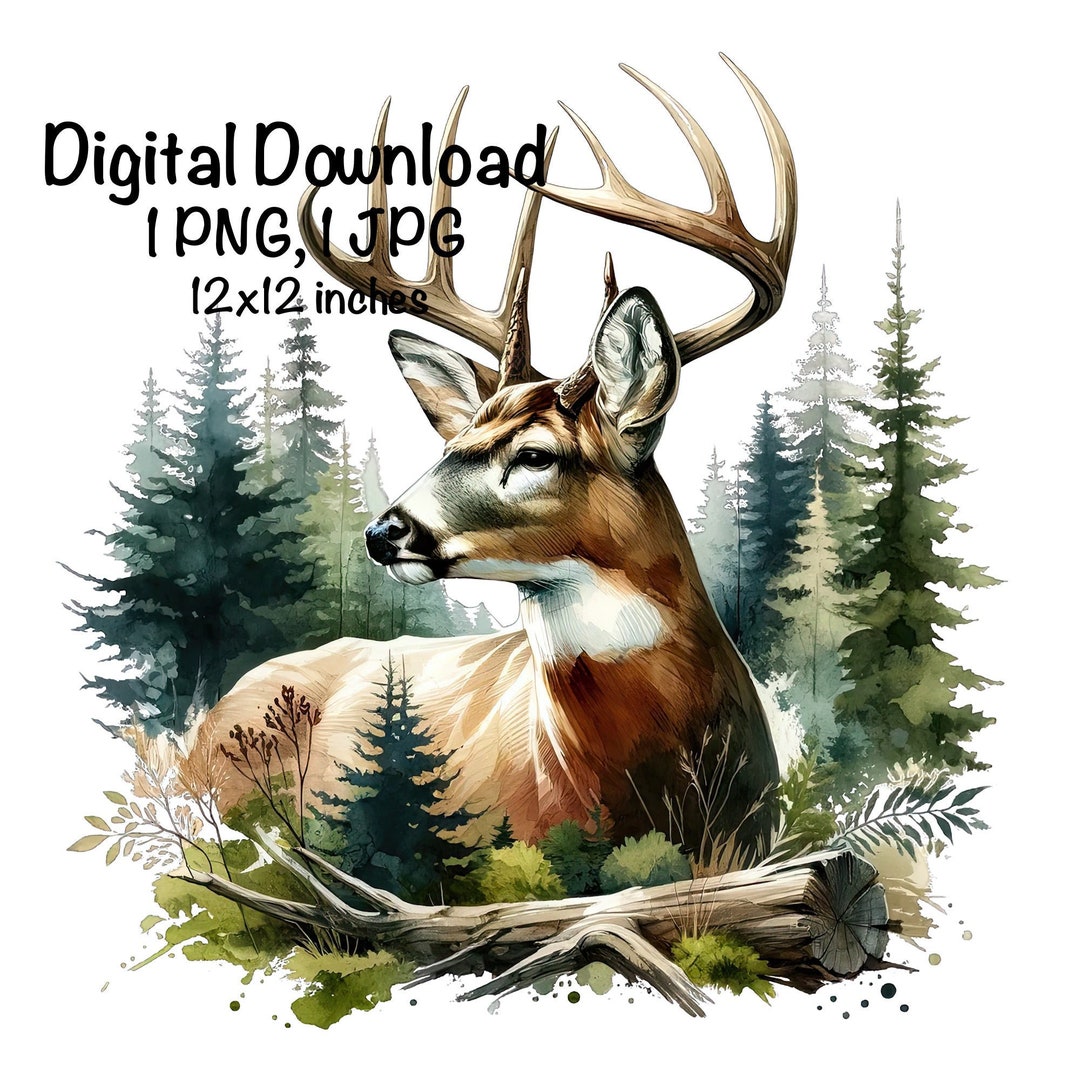 Deer Watercolor Clipart, Whitetail Deer PNG, Commercial Use Deer ...