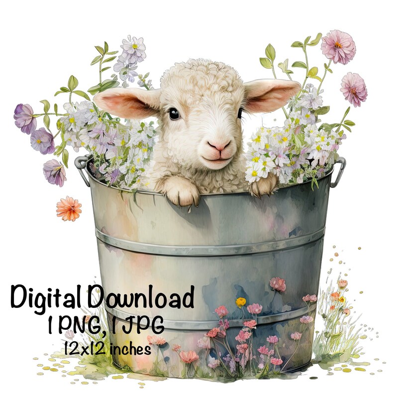 Baby Lamb Watercolor Clipart Cute Lamb in Bucket Spring - Etsy