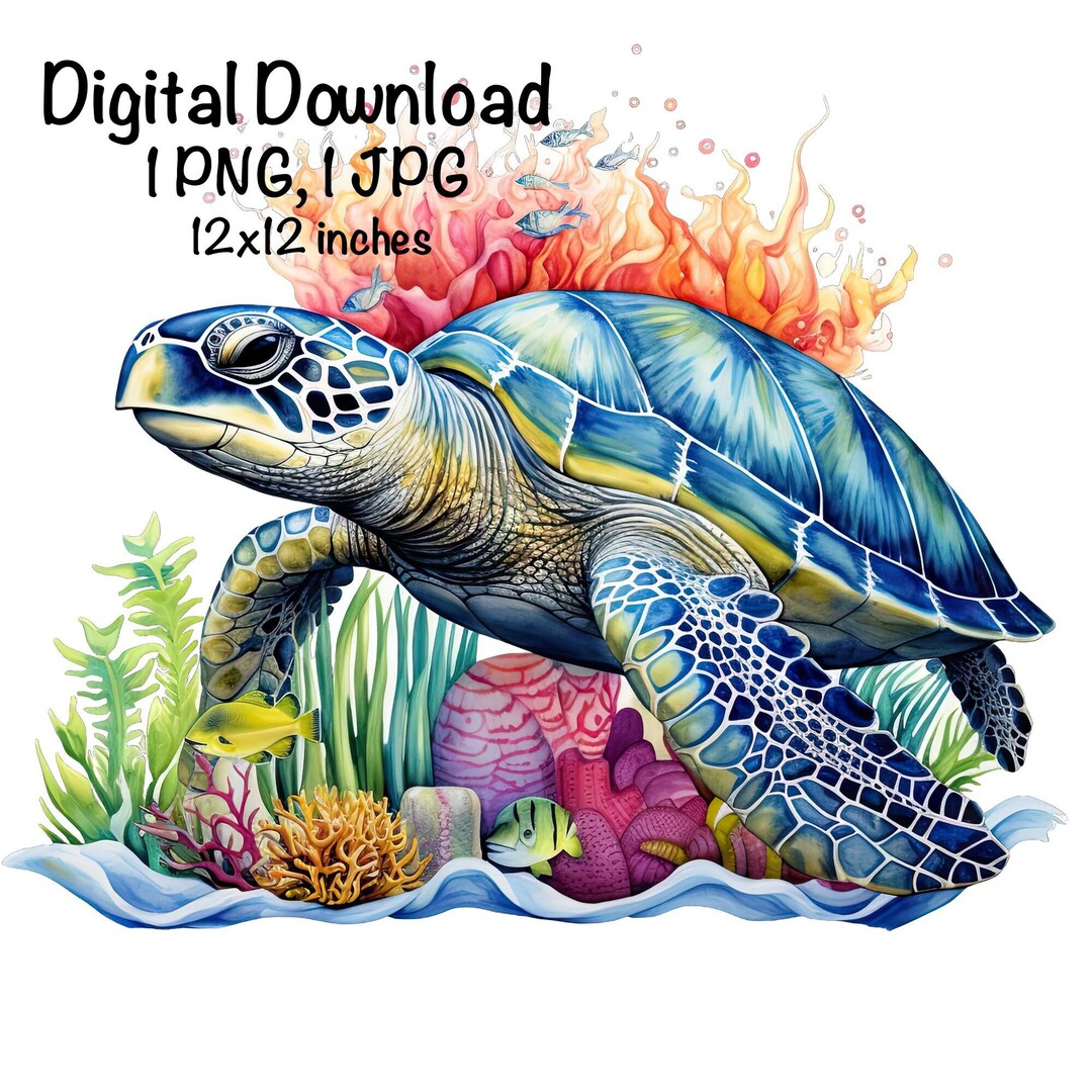 Sea Turtle PNG, Hawaii Sea Turtle Clipart Ocean Animals Sea Turtle PNG ...