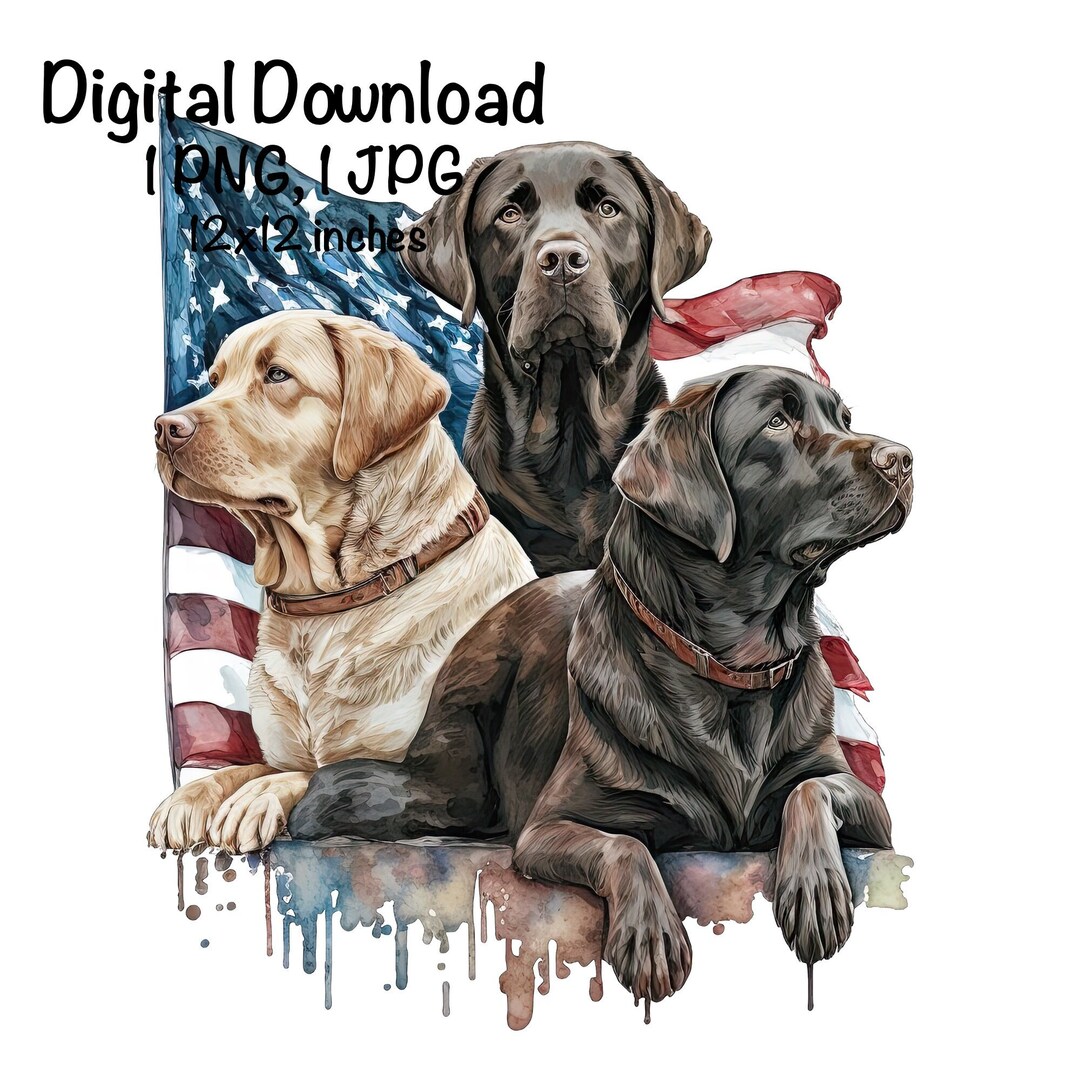 Labrador Dogs Watercolor Clipart Patriotic US Flag Labrador PNG ...