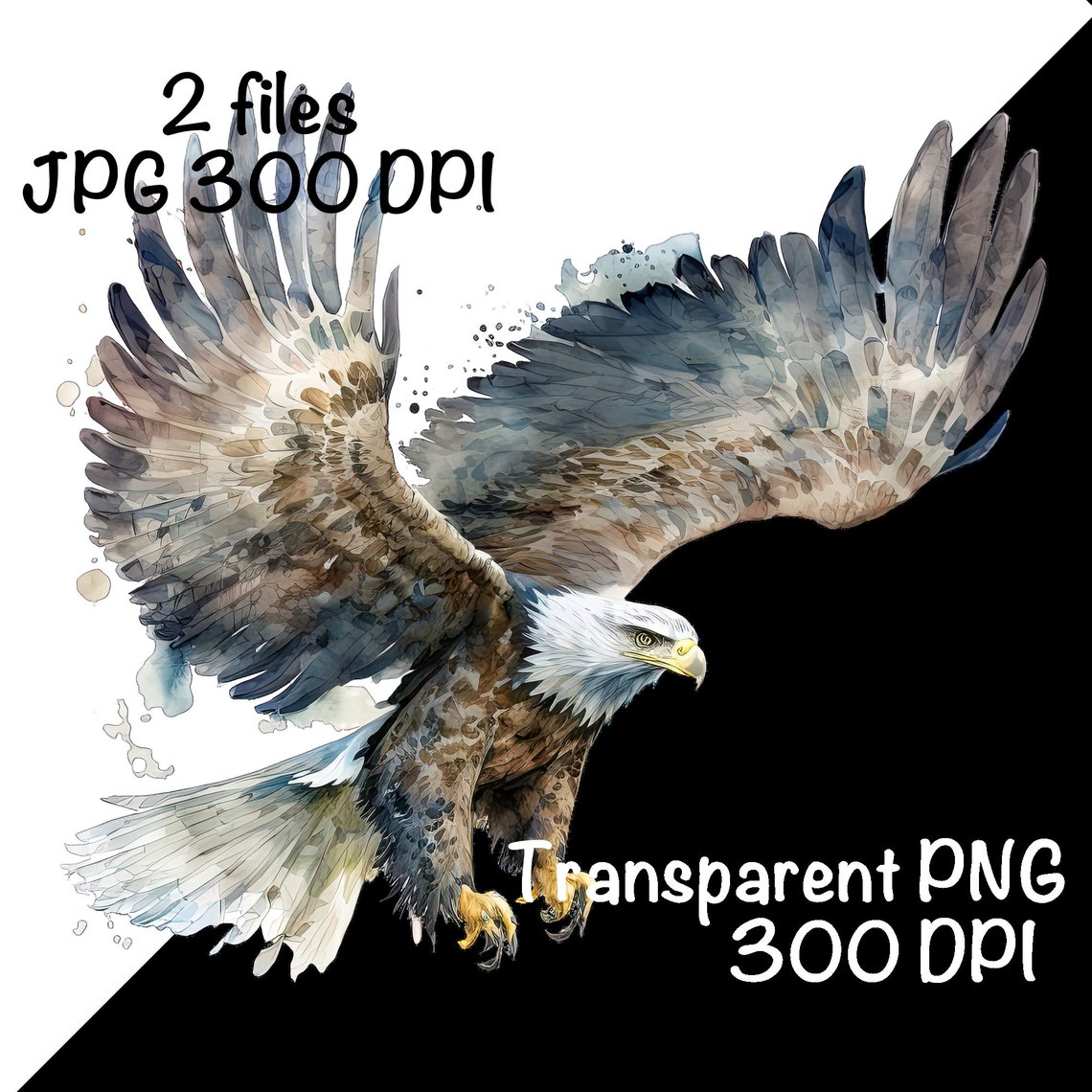 Eagle Flying PNG Eagle Watercolor American Eagle Commercial - Etsy