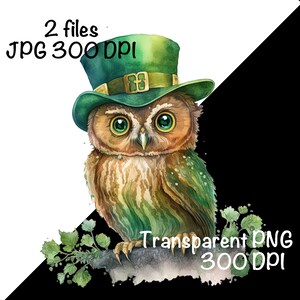 St Patrick Owl Watercolor Clipart St Patrick Holiday PNG Commercial Use ...