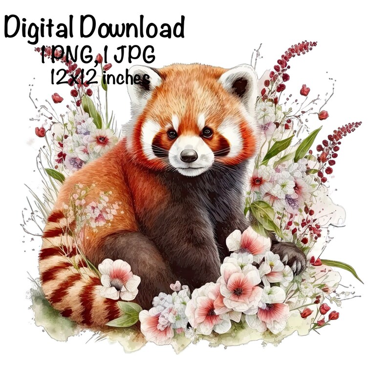 Red Panda Watercolor Clipart Lesser Panda Sunflowers Flowers - Etsy