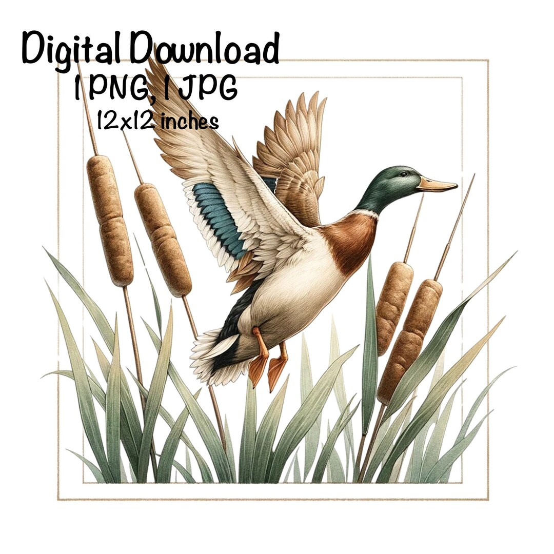 Mallard Duck PNG Wild Duck Sublimation PNG Mallard Duck Sublimation ...