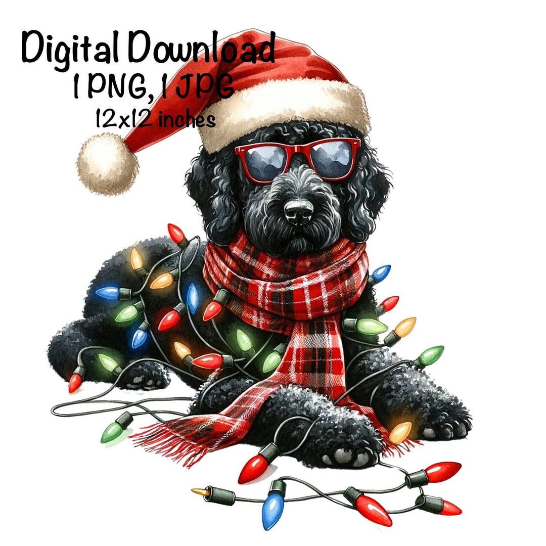 Christmas Goldendoodle Puppy PNG Christmas Lights Santa Black Doodle ...