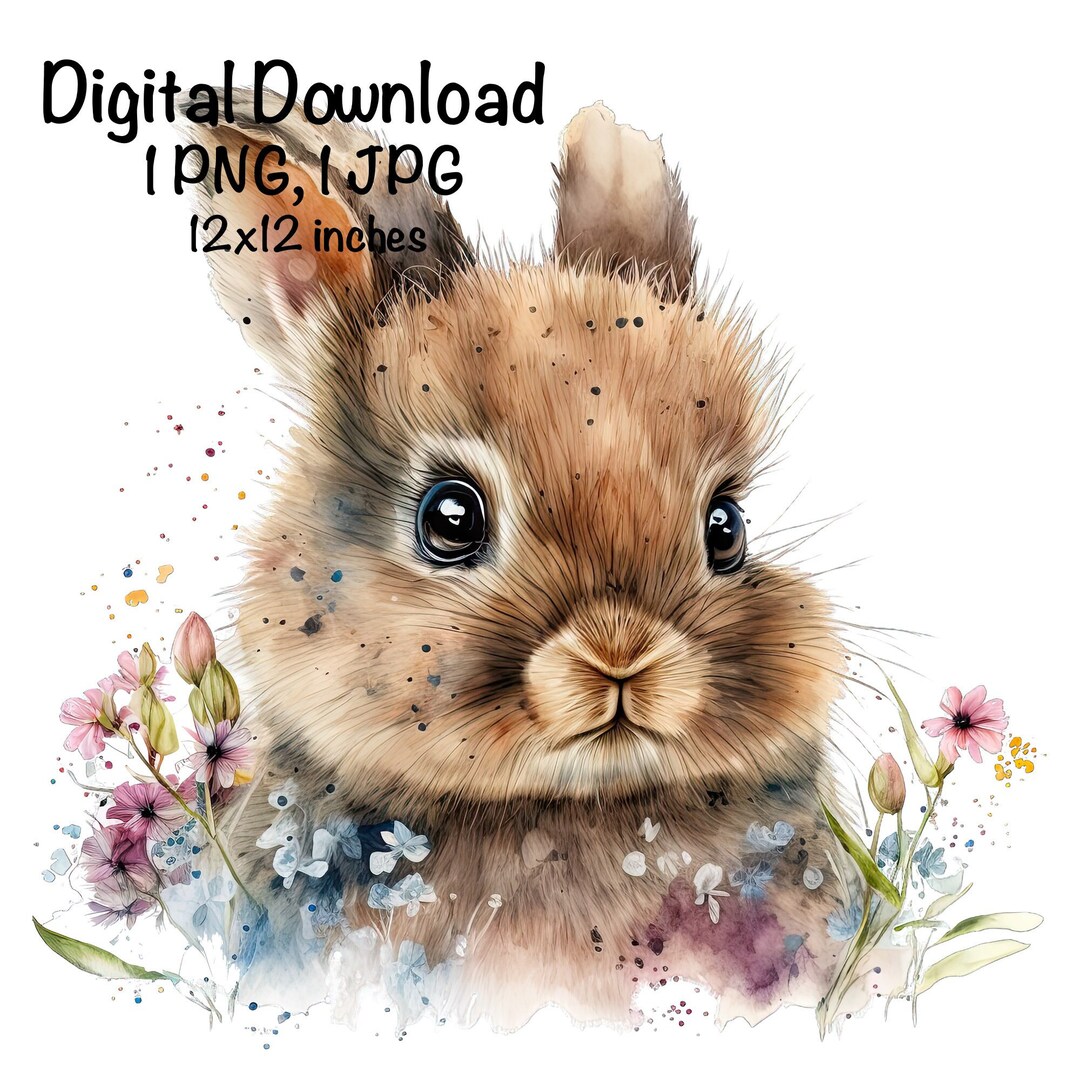 Cute Bunny Watercolor Clipart White Bunny Spring Daisy Flowers Farm ...
