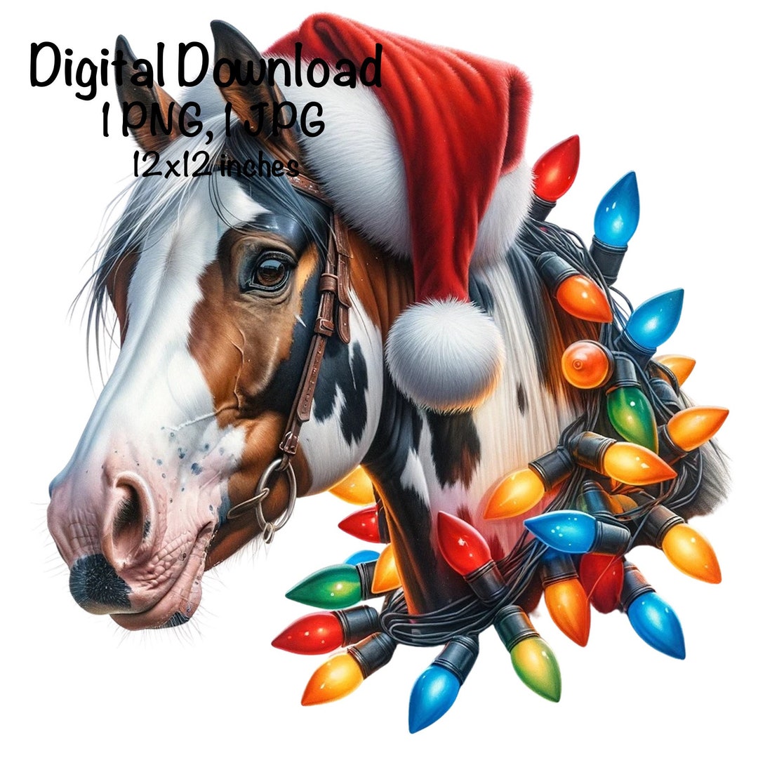 Funny Christmas Horse PNG, Cowgirl Png, Santa Horse Santa Hat PNG ...